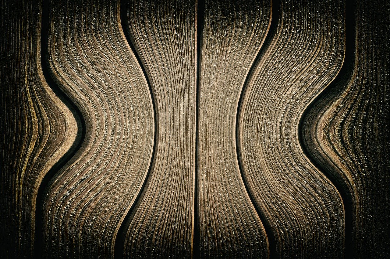 Scientists Plan To Produce Furniture From Lab-Grown Wood
