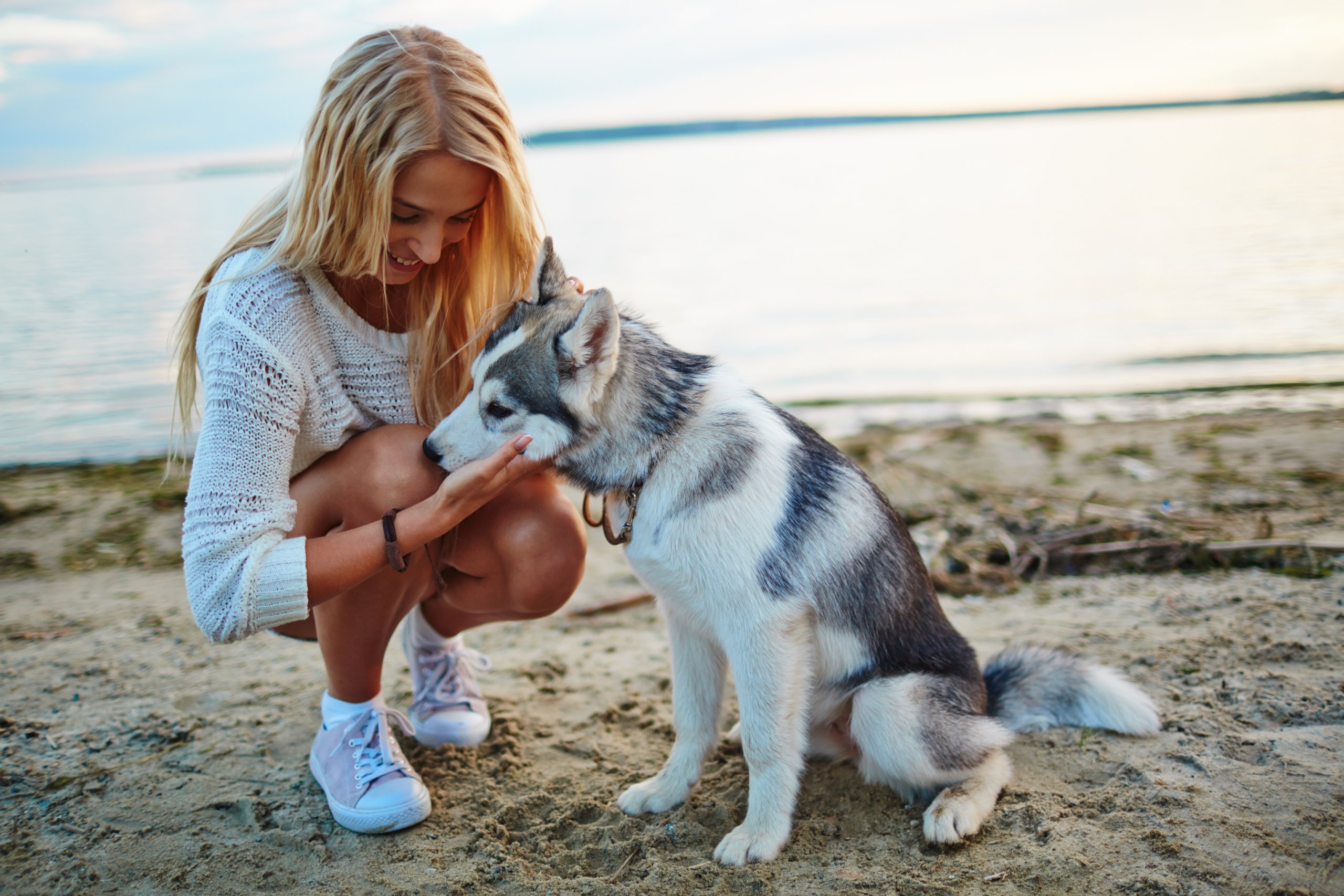 Some People Love Their Pets More Than Other Humans According To Research